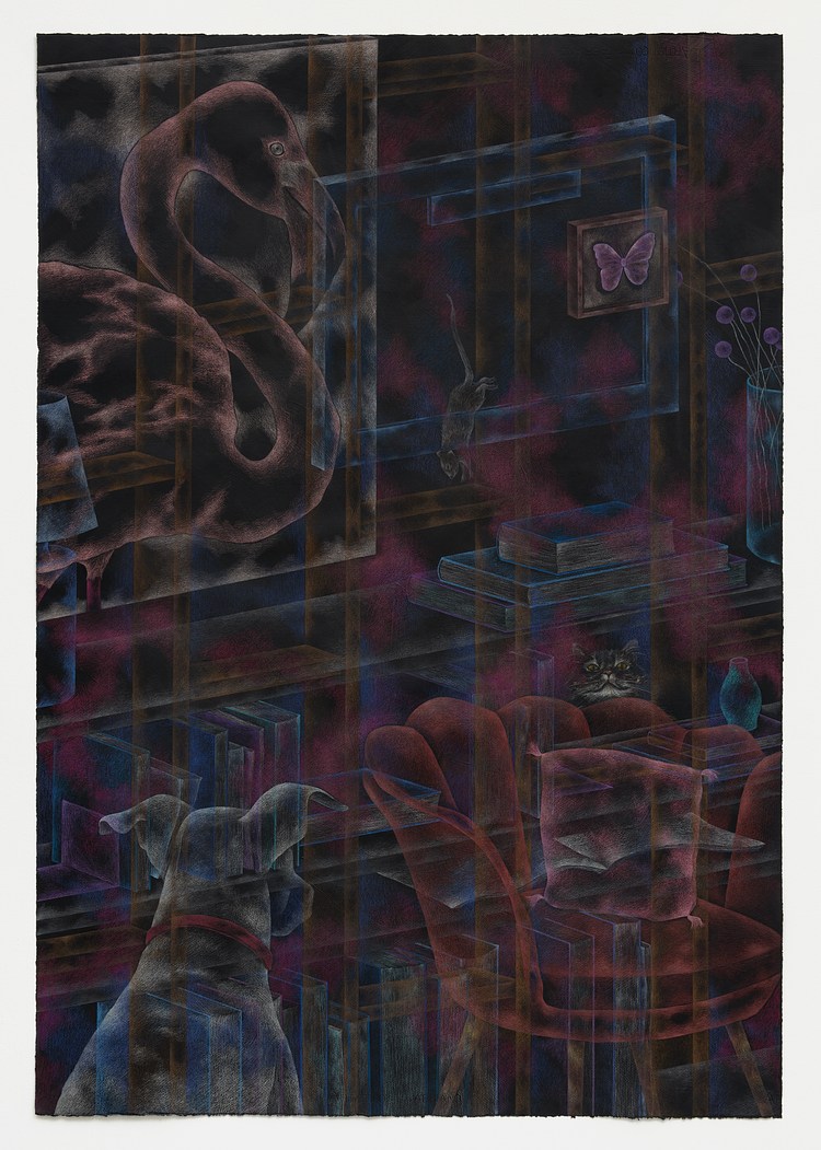 Samantha Roth | Contemporary Art Library