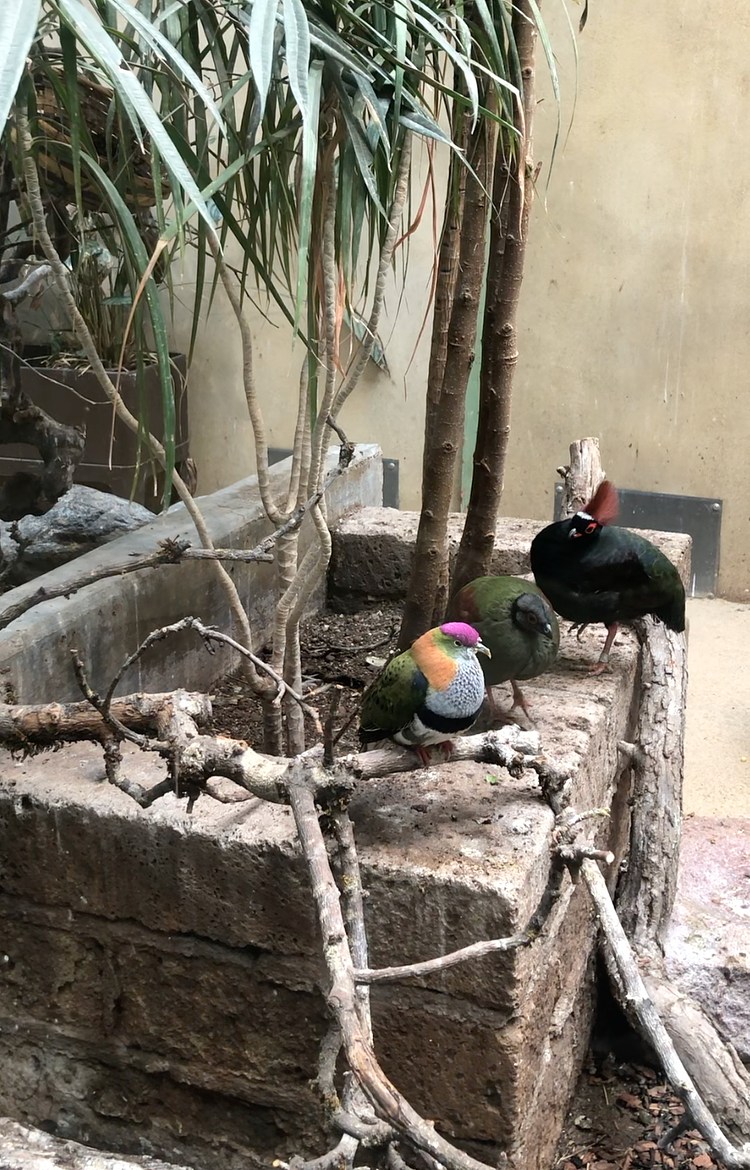 Kobby Adi | Contemporary Art Library