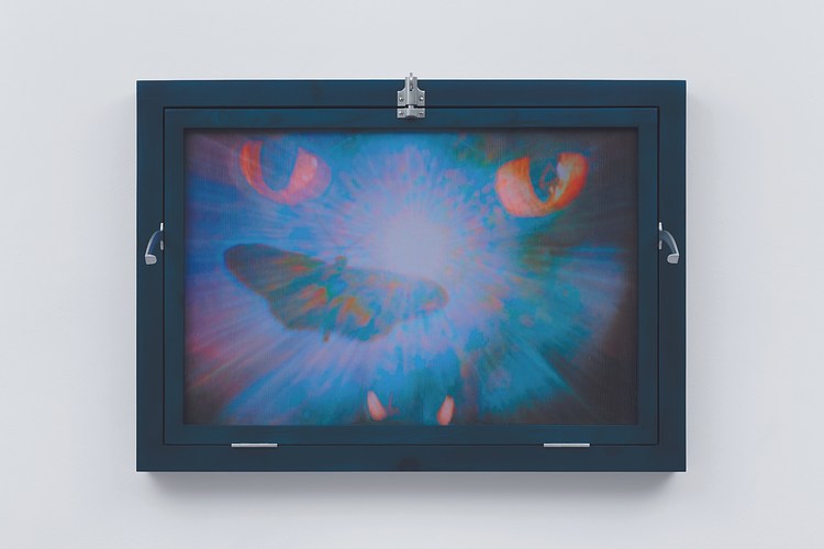 Jonah Pontzer | Contemporary Art Library