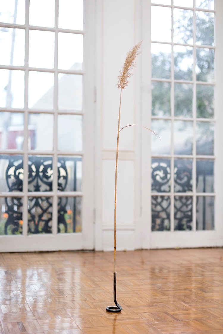 Colleen Billing | Contemporary Art Library