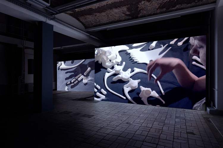 Emily Wardill | Contemporary Art Library