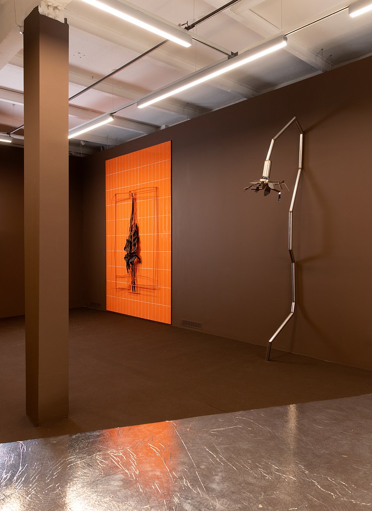 Zane Onckule | Contemporary Art Library