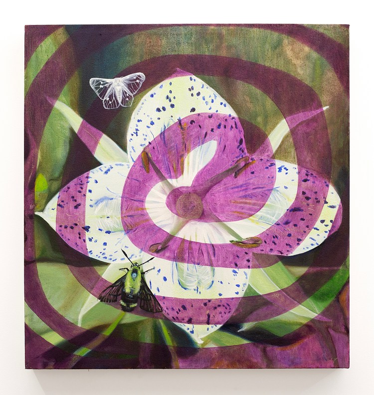 Delaney Lee | Contemporary Art Library