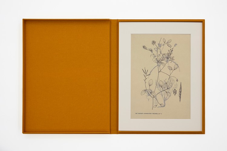 Dor Guez | Contemporary Art Library