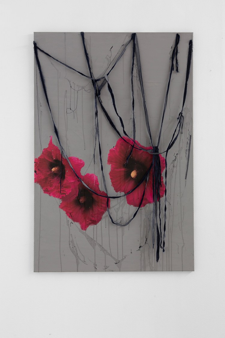 Haydée Marin | Contemporary Art Library