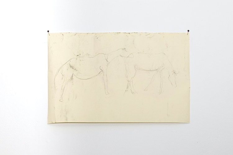 Cloud & Toe at KNULP Sydney | Contemporary Art Library