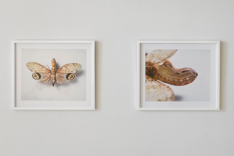 Jeffrey Stuker | Contemporary Art Library