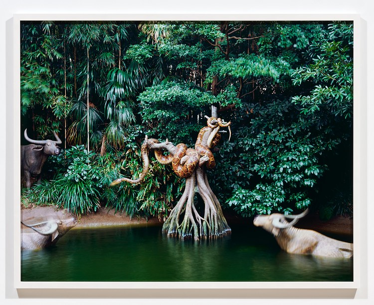 Catherine Wagner | Contemporary Art Library