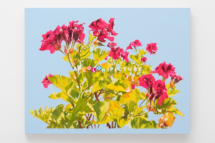 Luke Butler at Jessica Silverman, San Francisco | Contemporary Art Library