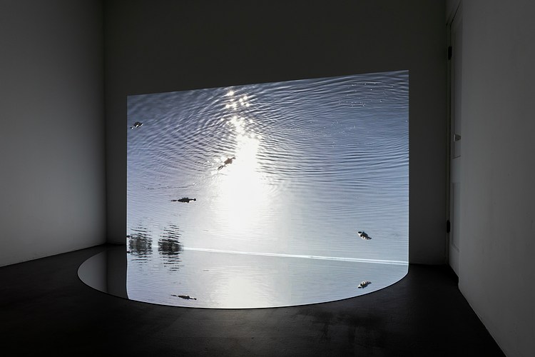 Nika Kaiser | Contemporary Art Library