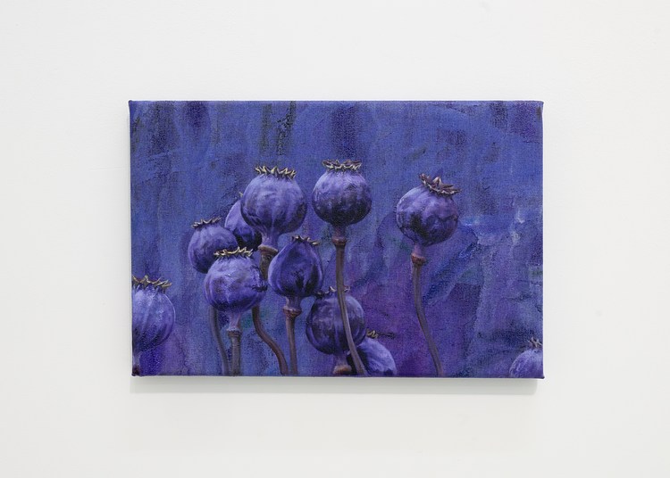 Michael Ho | Contemporary Art Library