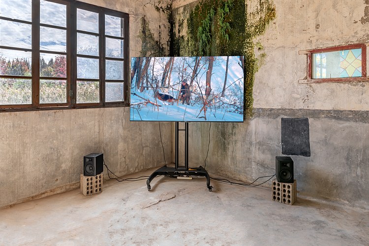 Liu Yujia Contemporary Art Library