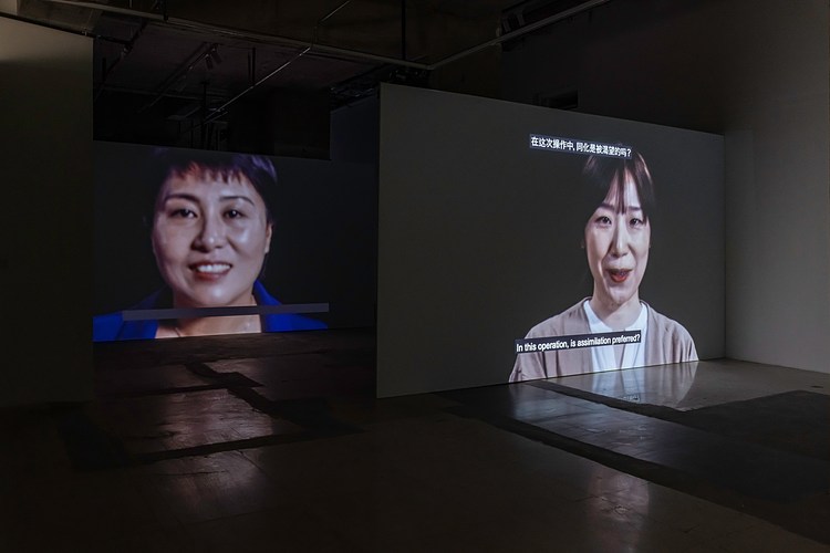Shen Xin | Contemporary Art Library