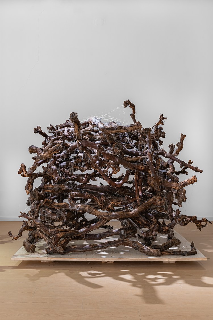 YOYO | Contemporary Art Library