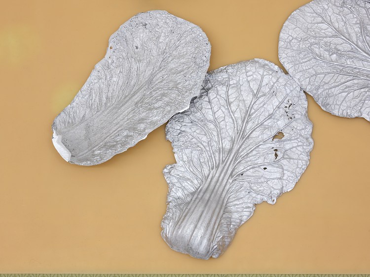 Lotus L. Kang at Contemporary Art Gallery Vancouver | Contemporary Art ...