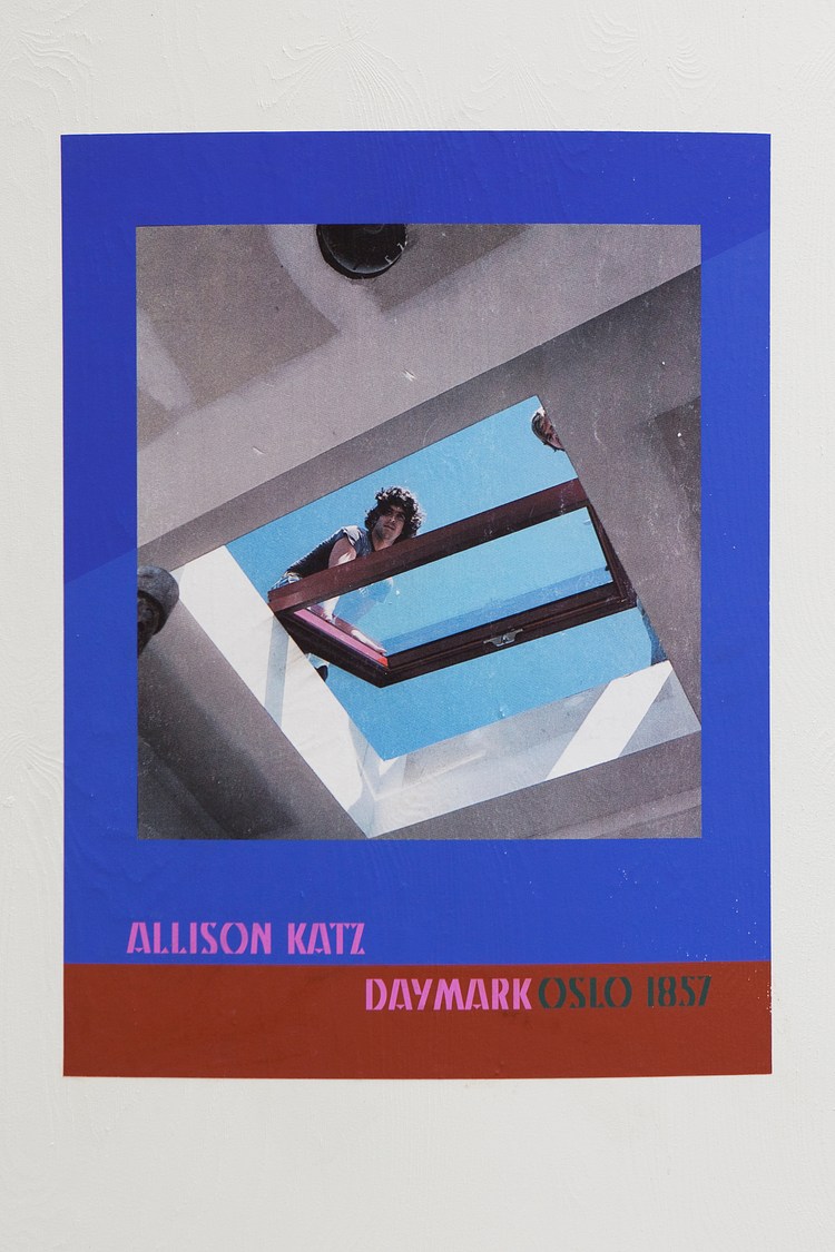 Allison Katz at 1857, Oslo | Contemporary Art Library