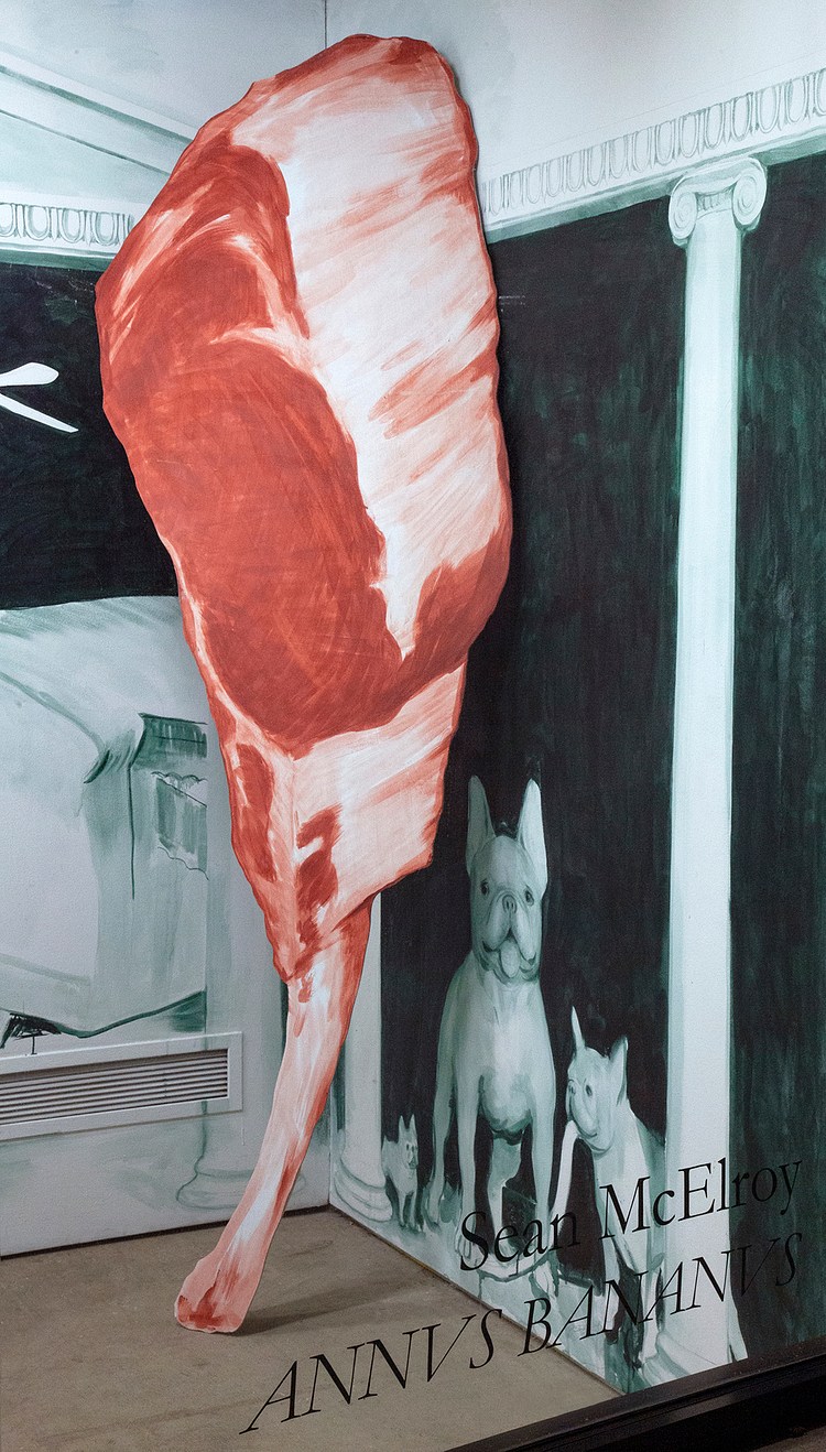 Sean McElroy | Contemporary Art Library