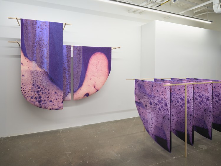 Kara Springer | Contemporary Art Library