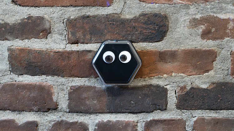 Nicolas Ceccaldi, Georgie Nettell at CICCIO, Brooklyn | Contemporary ...