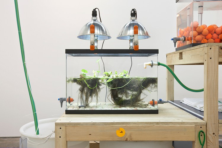Phoebe Washburn at Zach Feuer Gallery, New York | Contemporary Art Library