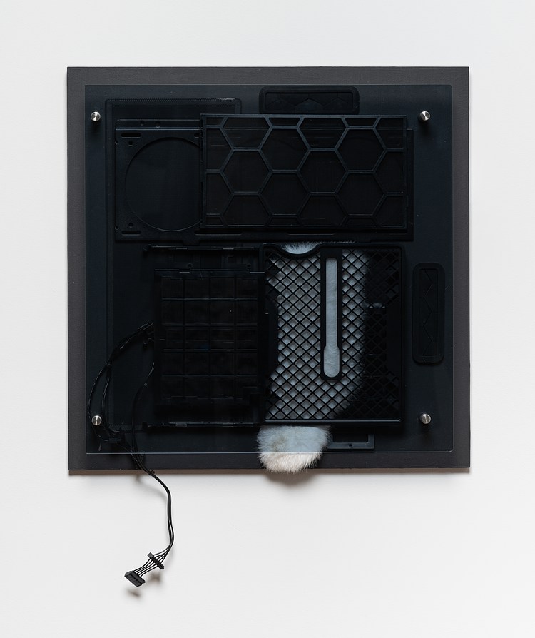 Ido Radon at ILY2, Portland | Contemporary Art Daily