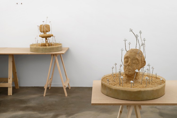 Hamish Pearch | Contemporary Art Library