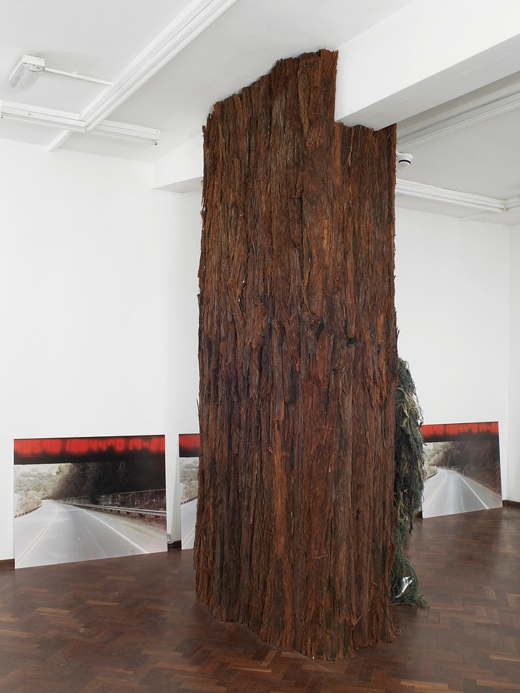 Lutz Bacher at Cabinet, London | Contemporary Art Daily