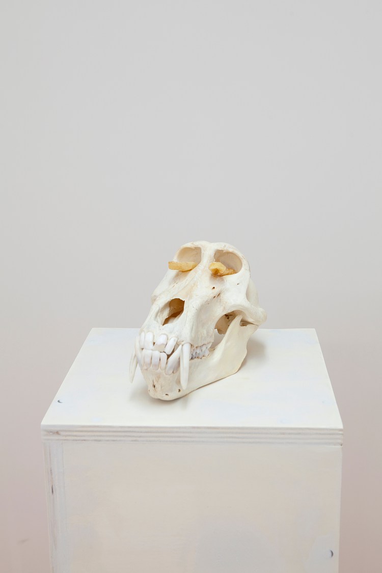 Darren Bader at 1857, Oslo | Contemporary Art Library