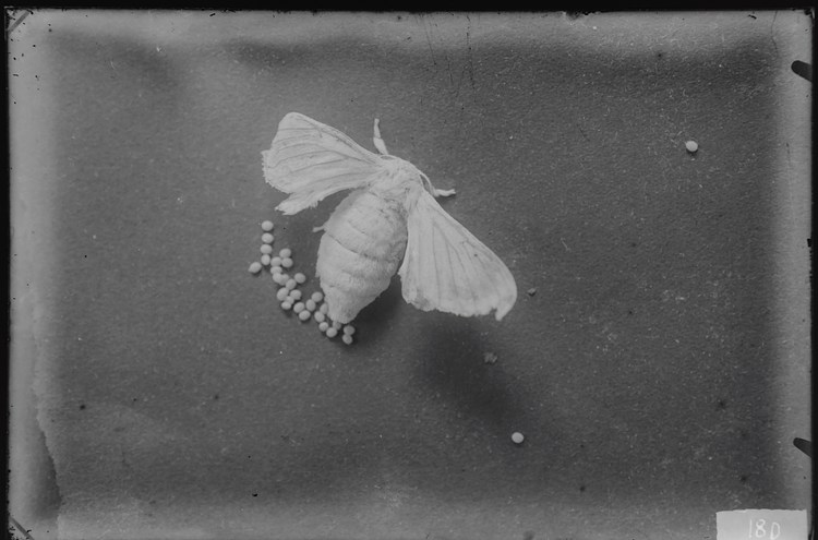 Misha Mendelevich and Andro Eradze at Mishkin Gallery, Baruch College ...