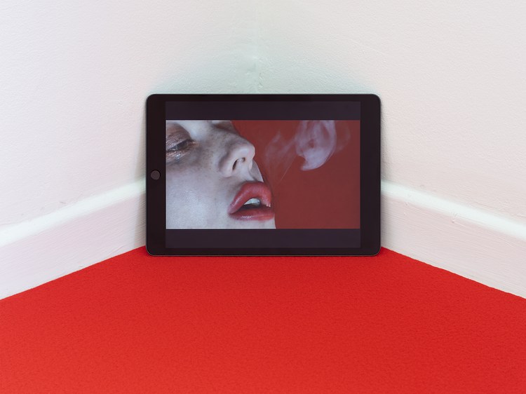 Anna Mccarthy at Diana, Milan | Contemporary Art Library