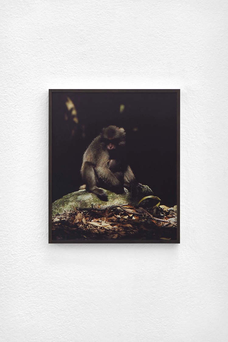 Daniel Gustav Cramer | Contemporary Art Library