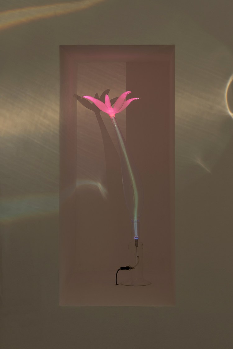 Aviva Silverman at Bodega, New York | Contemporary Art Library