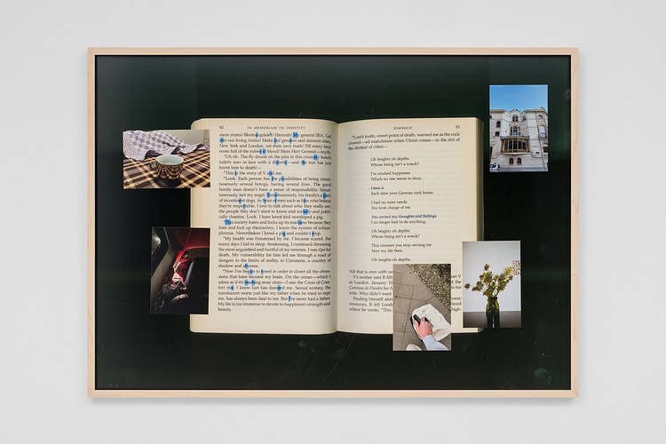 Samuel Haitz at Triangolo, Cremona | Contemporary Art Library
