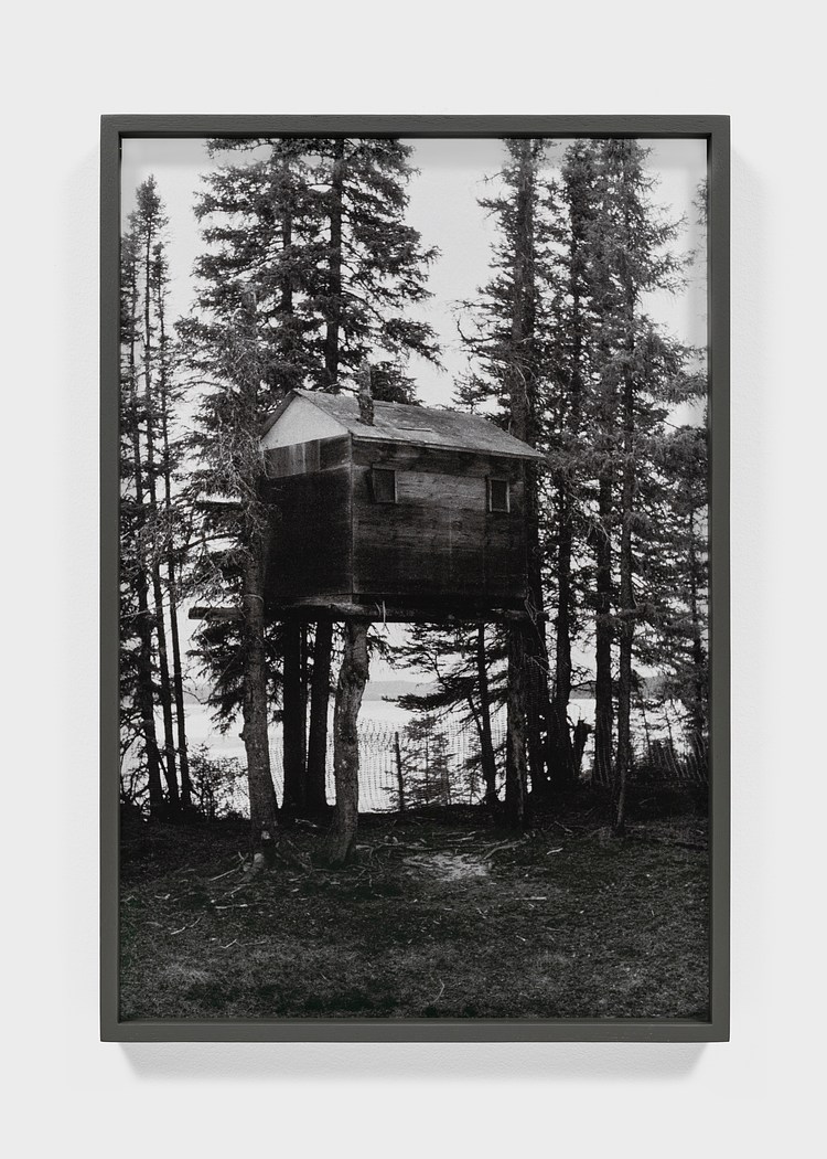 Tanea Hynes | Contemporary Art Library