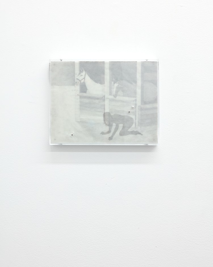 Naomi Hawksley | Contemporary Art Library