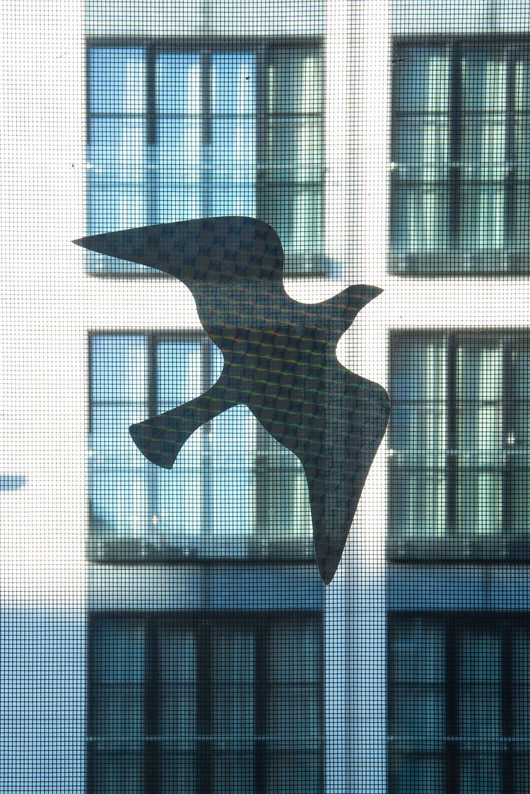 Derosia | Contemporary Art Library