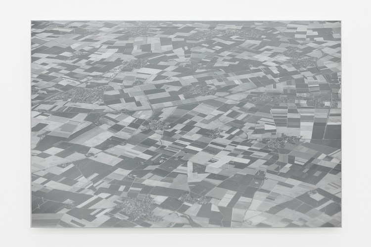 Niklas Taleb | Contemporary Art Library