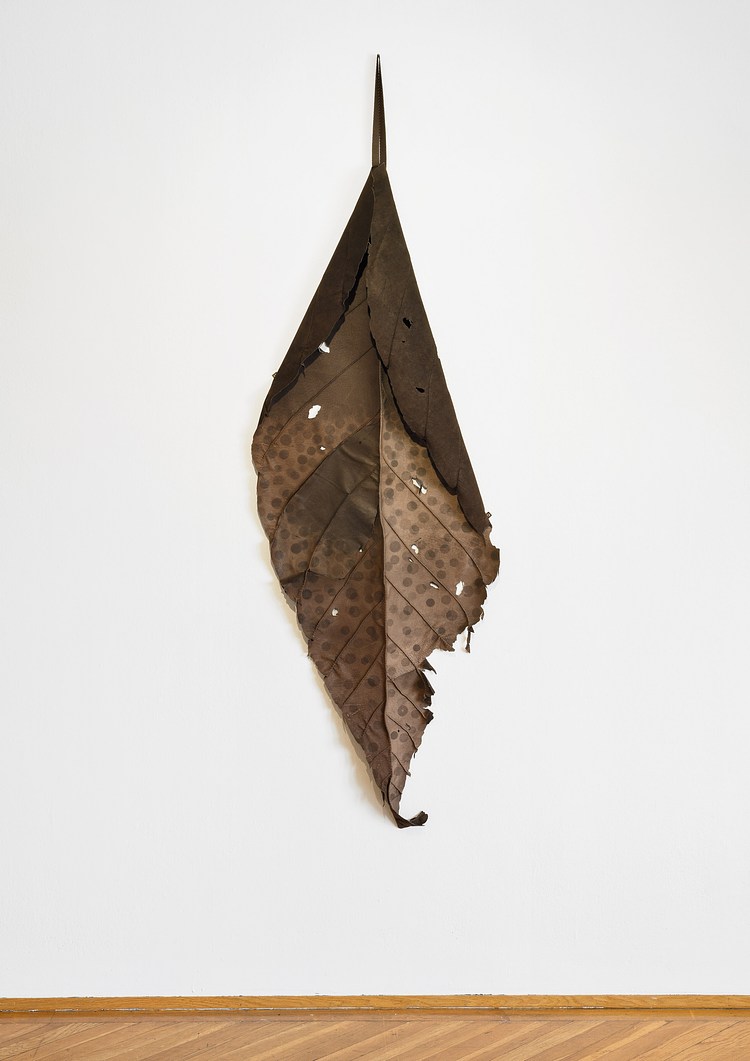 Forms of the Shadow at Secession, Vienna | Contemporary Art Daily