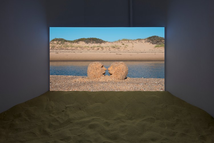 Sara Stern | Contemporary Art Library