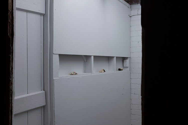 Luke Sands at Asbestos, Brunswick | Contemporary Art Library