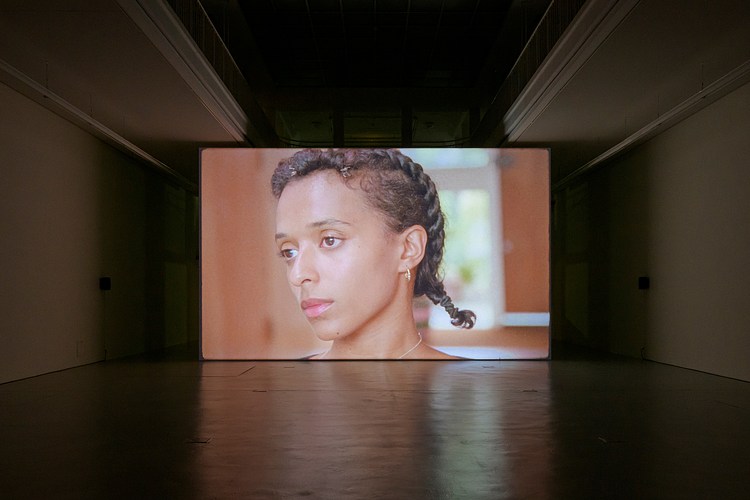 Deborah-Joyce Holman | Contemporary Art Library