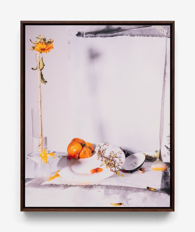 Laura Letinsky | Contemporary Art Library