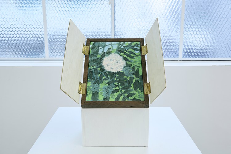 Masamitsu Shigeta | Contemporary Art Library