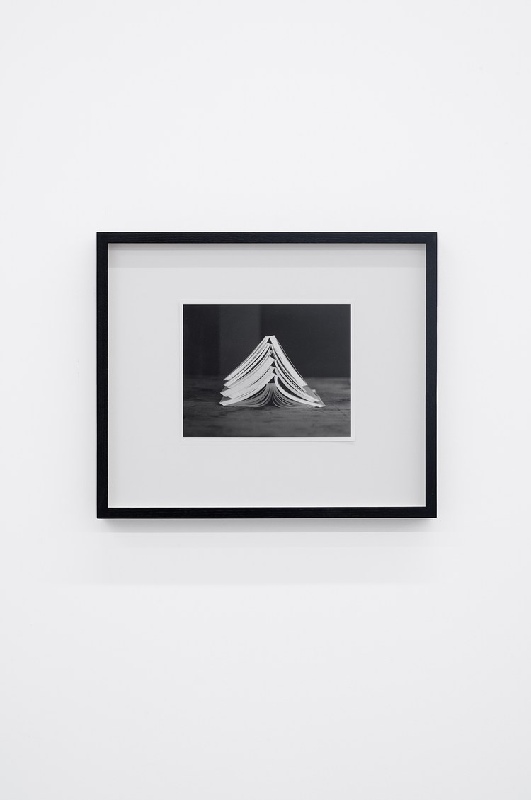 Alexis Auréoline | Contemporary Art Library