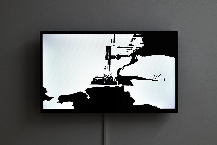 Anna Rubin | Contemporary Art Library