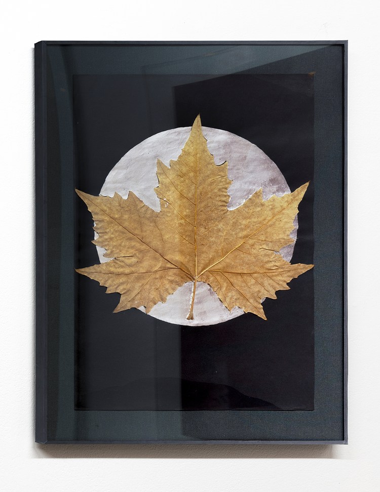 Graham Hamilton at Alienze, Paris | Contemporary Art Library