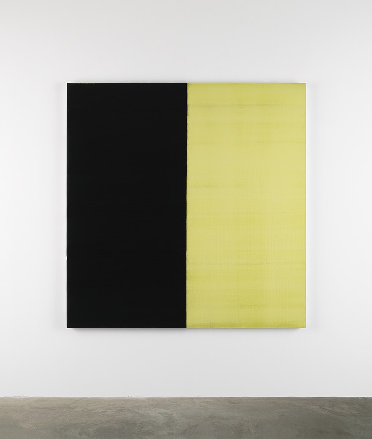 Callum Innes | Contemporary Art Library