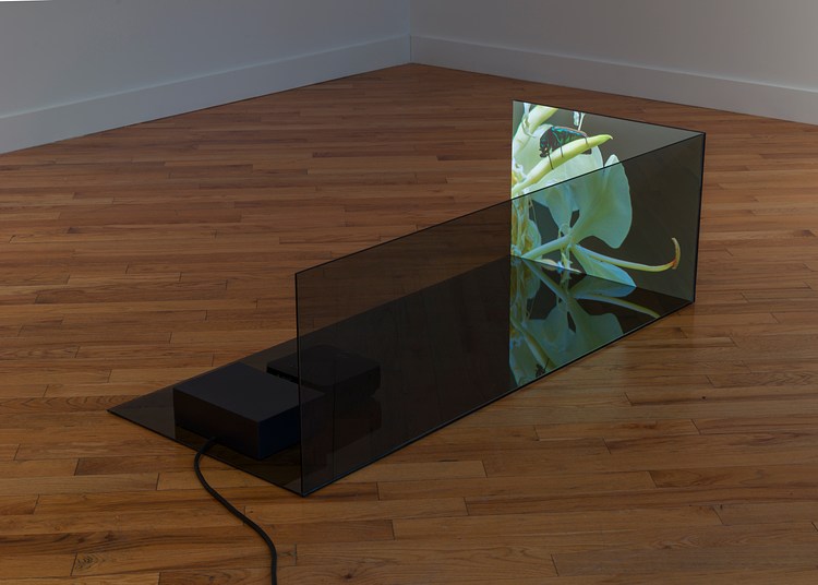 Adriana Ramić | Contemporary Art Library