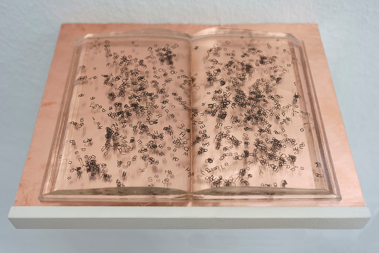 Mariechen Danz | Contemporary Art Library