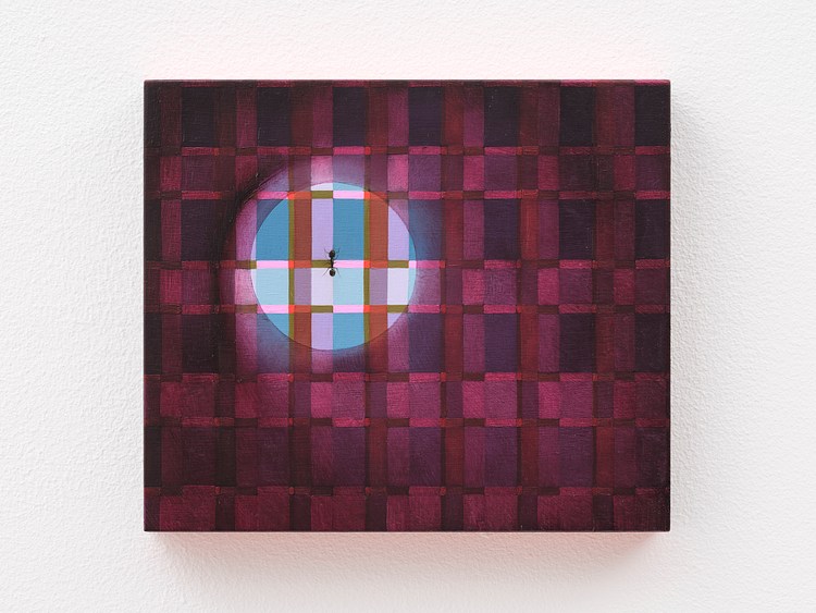 Alexandra Noel at Crèvecoeur, rive droite, Paris | Contemporary Art Library